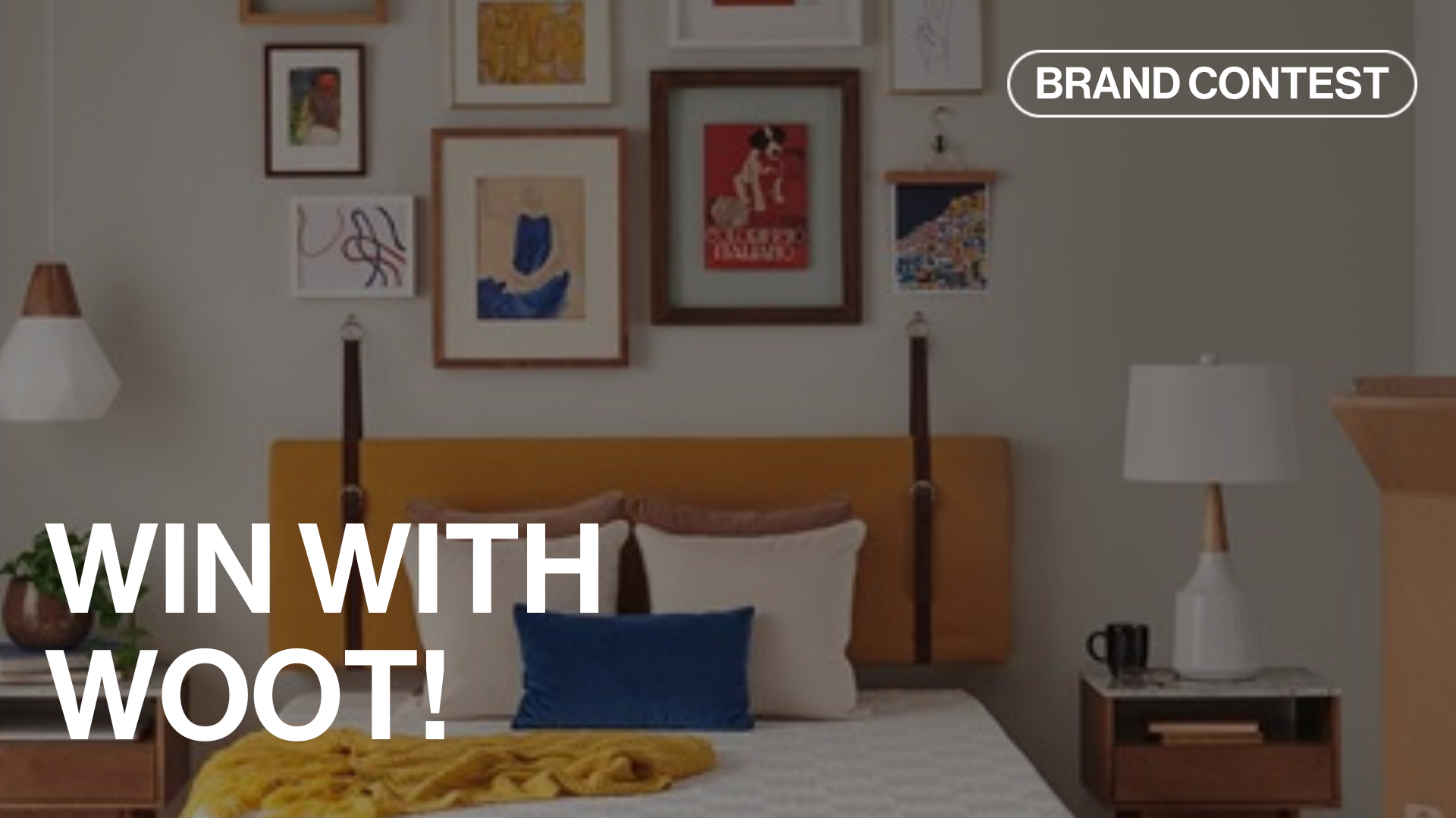 Unlock Your Winning Streak: Enter the Woot Contest and Win $100! • Mavely