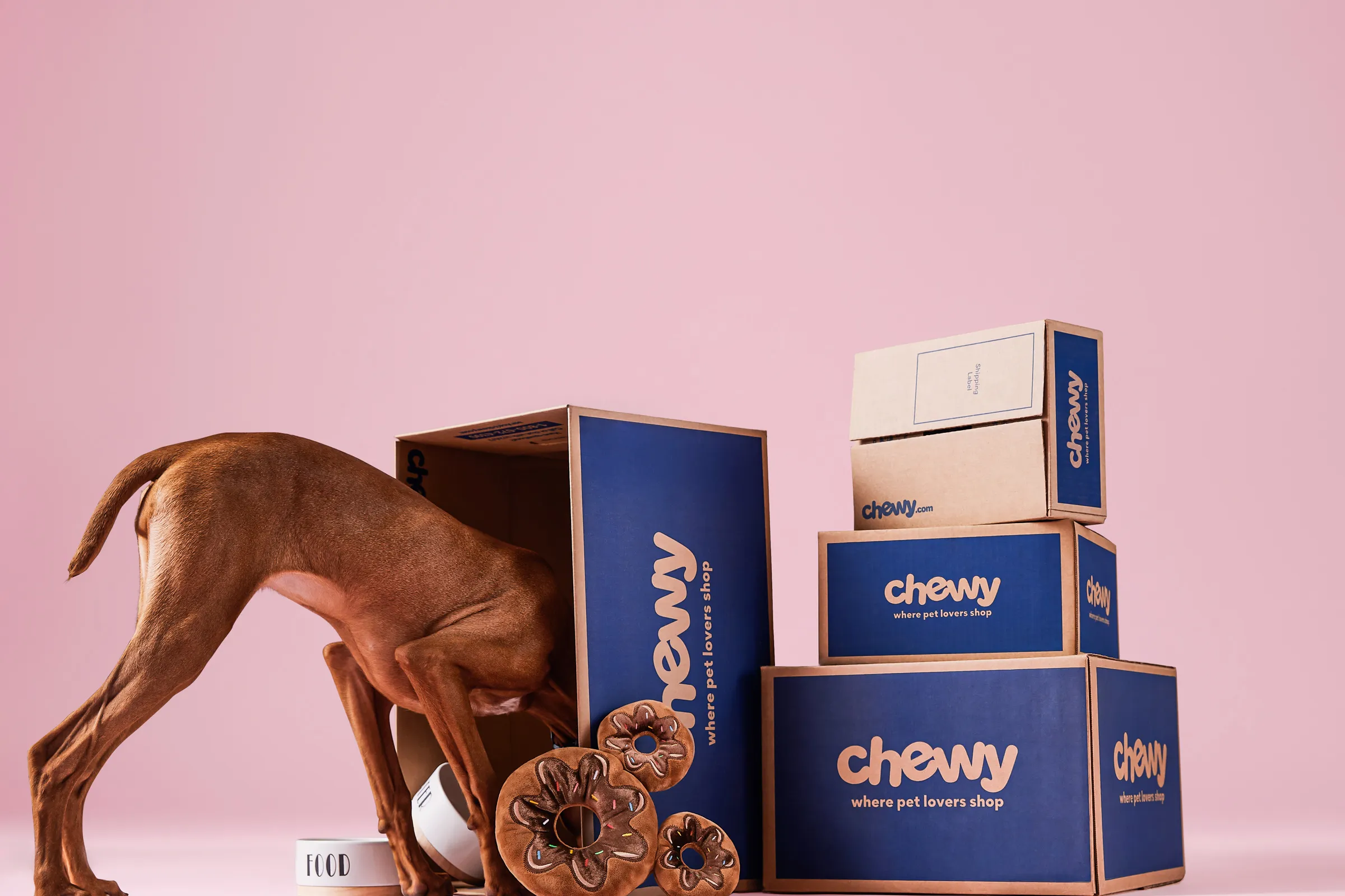 The Mavely x Chewy Engagement Contest is HERE! • Mavely