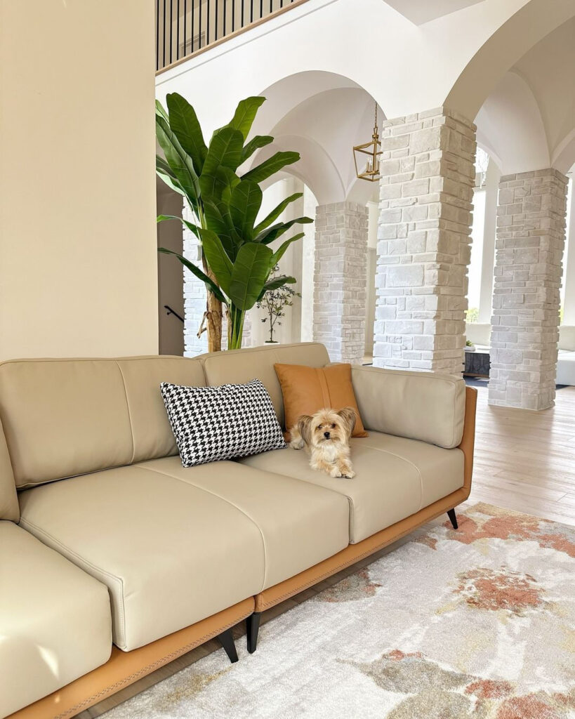 15 Best Affiliate Marketing Programs for Interior Design in 2025 • Mavely